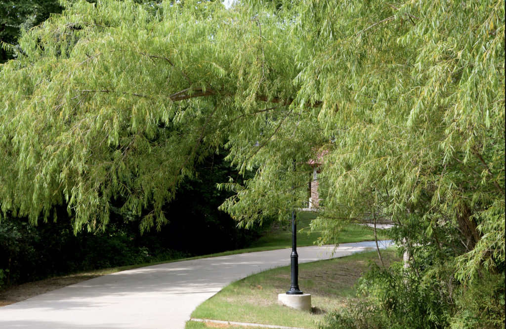White Rock Lake and Park: A Picturesque Setting in Dallas - Nhi Thai ...